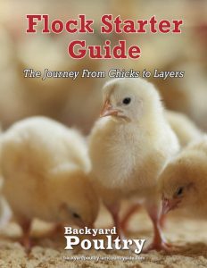 Flock Starter Guide - Backyard Poultry
